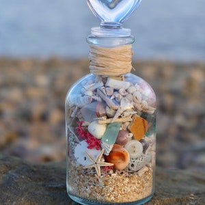 Beach Sand Sea Shell Mix Nautical Decor Ocean Decor Christmas Gift ...