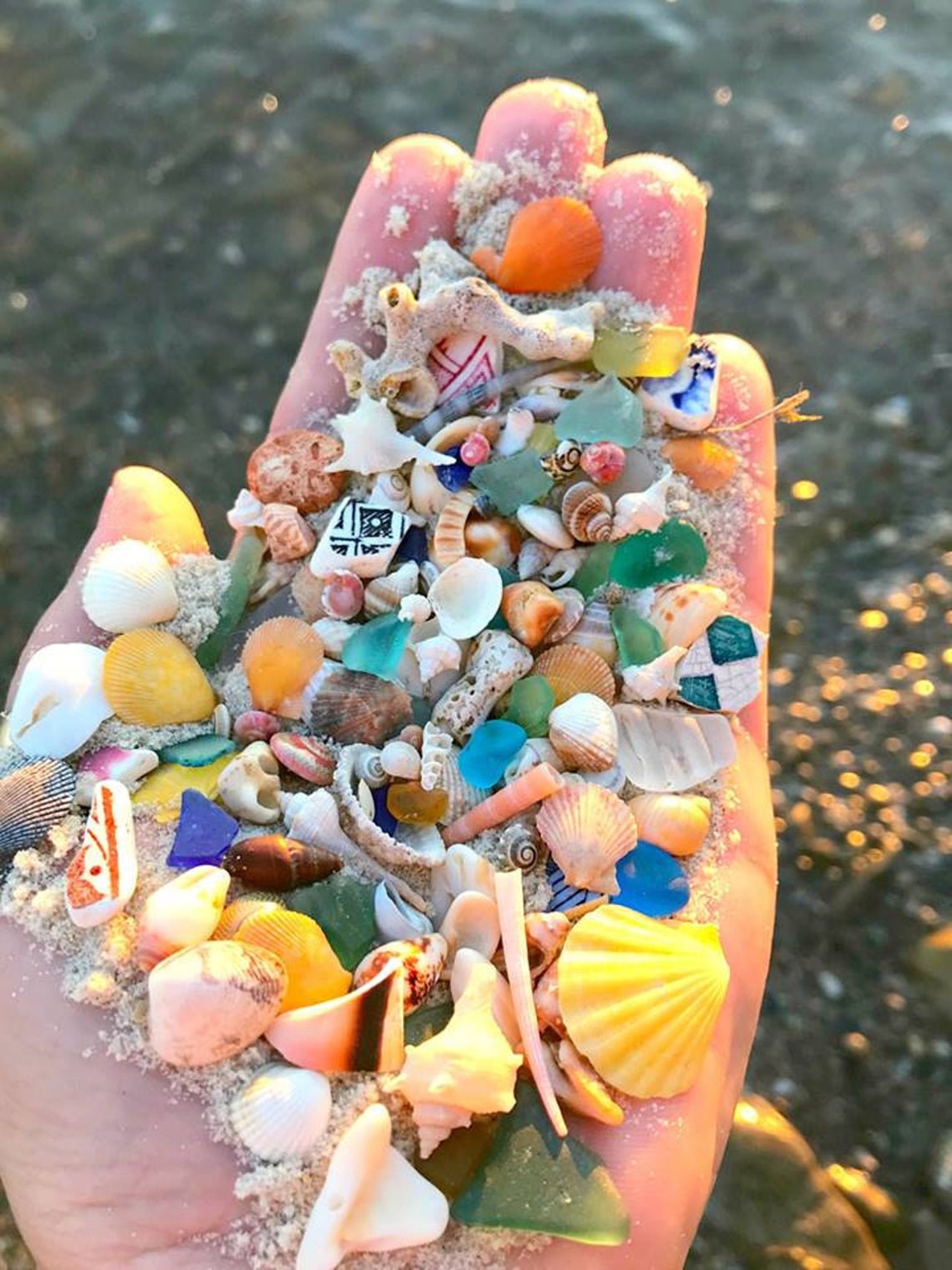 Beach Sand Sea Shell Mix Nautical Decor Ocean Decor Mothers - Etsy