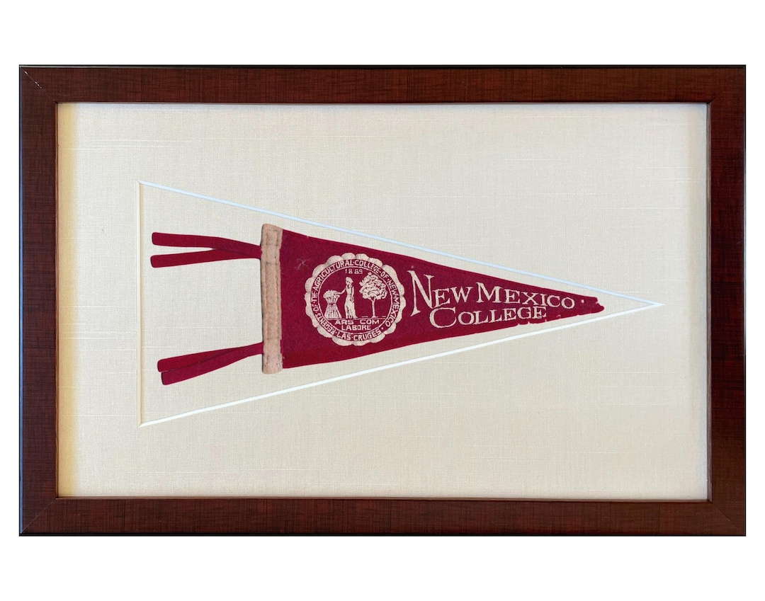 Vintage New Mexico State University NMSU Pennant - Etsy