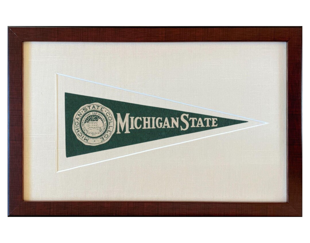 Vintage Michigan State Pennant hormel Circa 1950s - Etsy