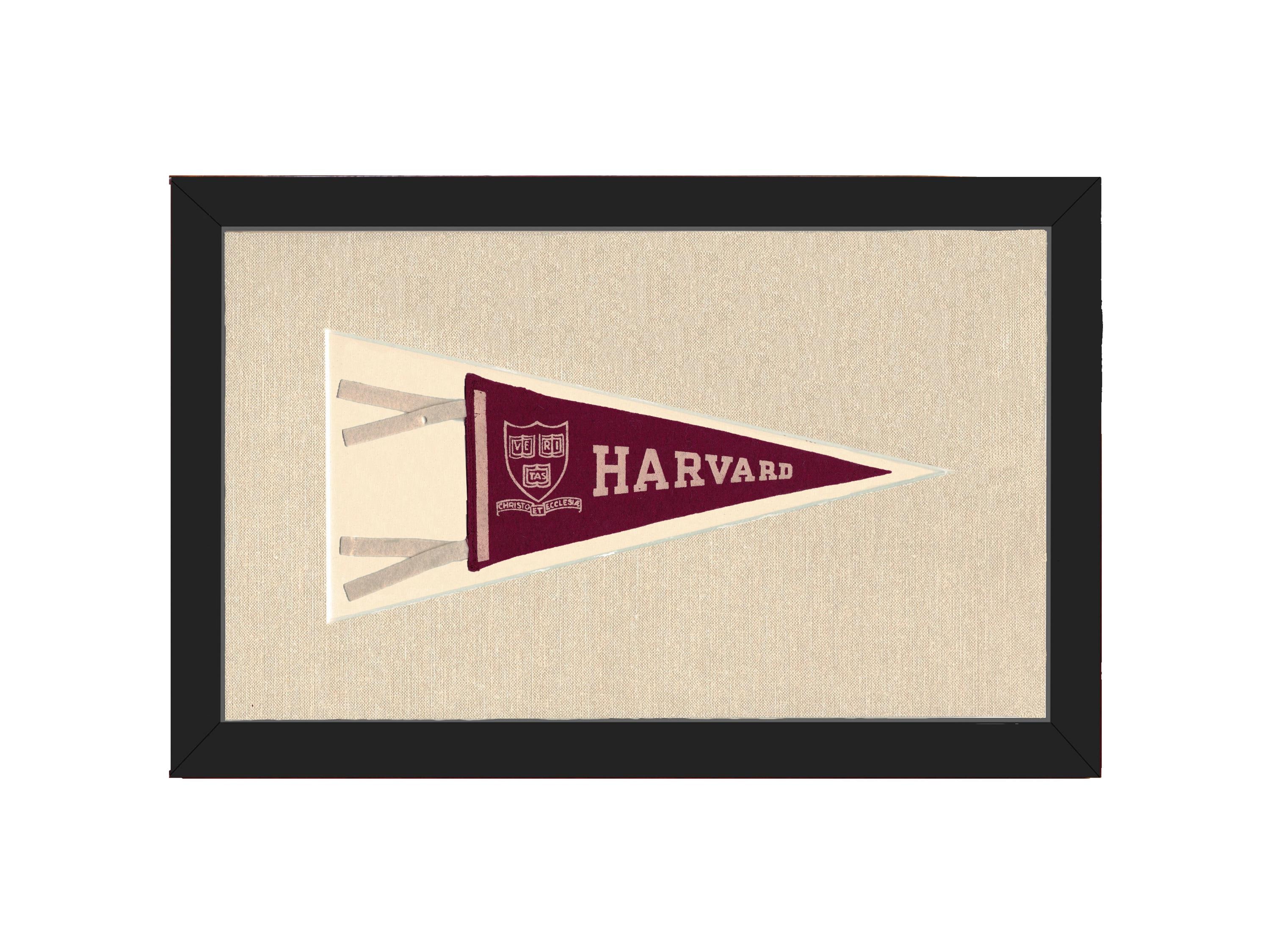 Harvard University Triangle Flag