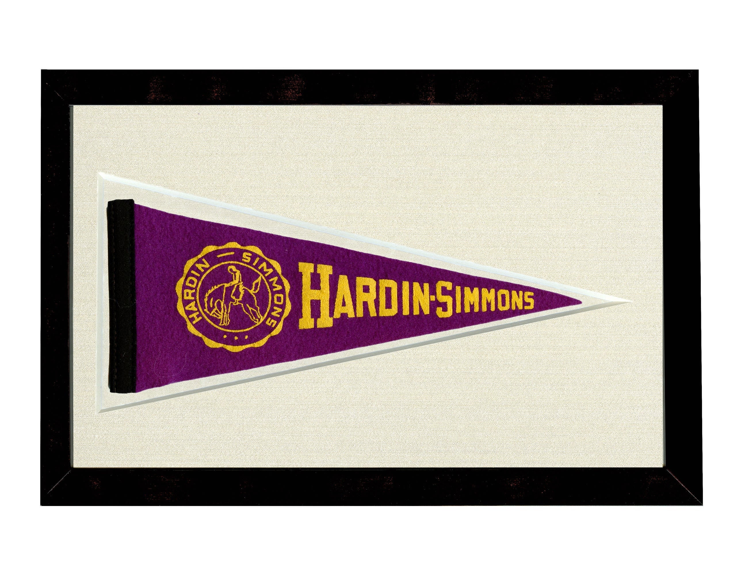 Hardin Simmons University Logo