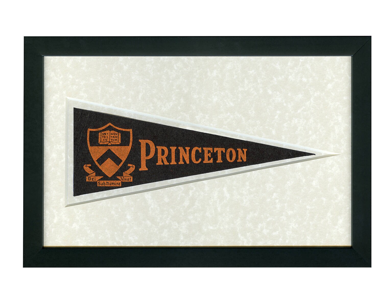 Princeton University Pennant