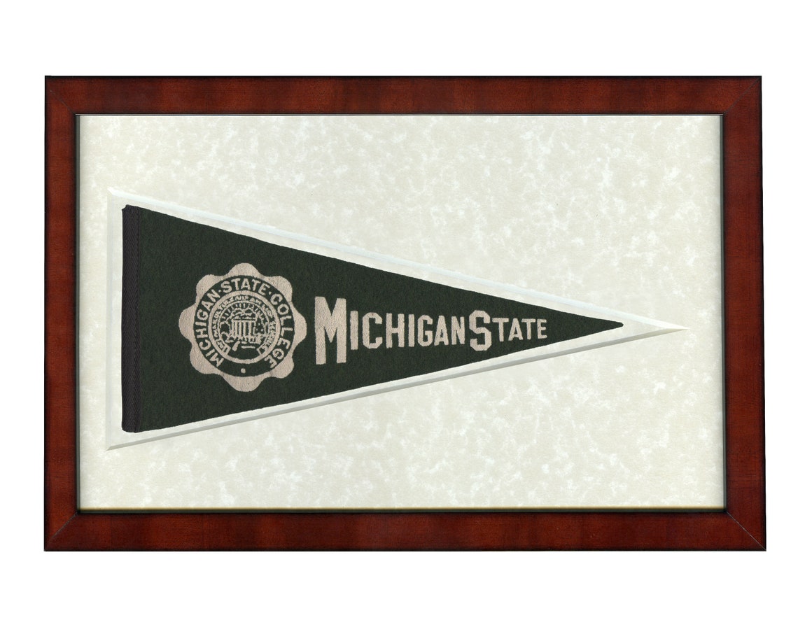 Vintage Michigan State College Pennant | Etsy