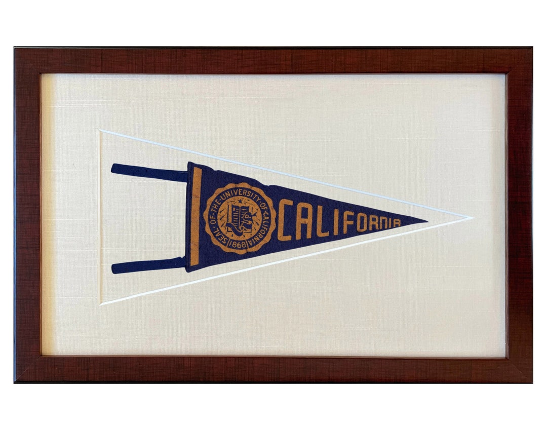 Vintage University of California Pennant - Etsy