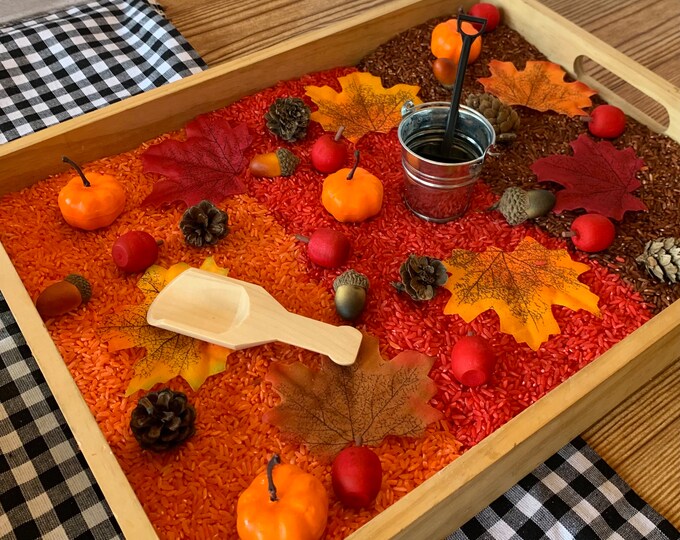 Montessori Fall Sensory Bin Play Kit Sensory Materials Educational ...