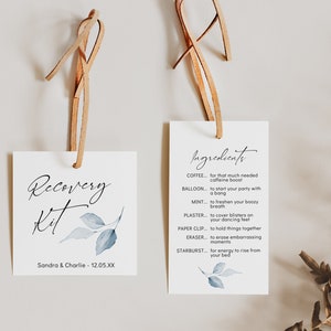 Recovery Kit Tags, Printable Hangover Kit Tag Template, Party Hangover ...