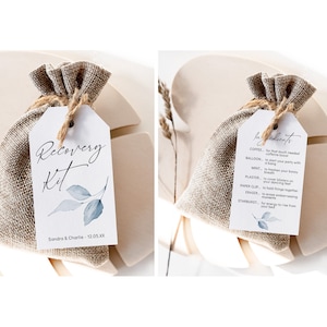 Recovery Kit Tags, Printable Hangover Kit Tag Template, Party Hangover ...