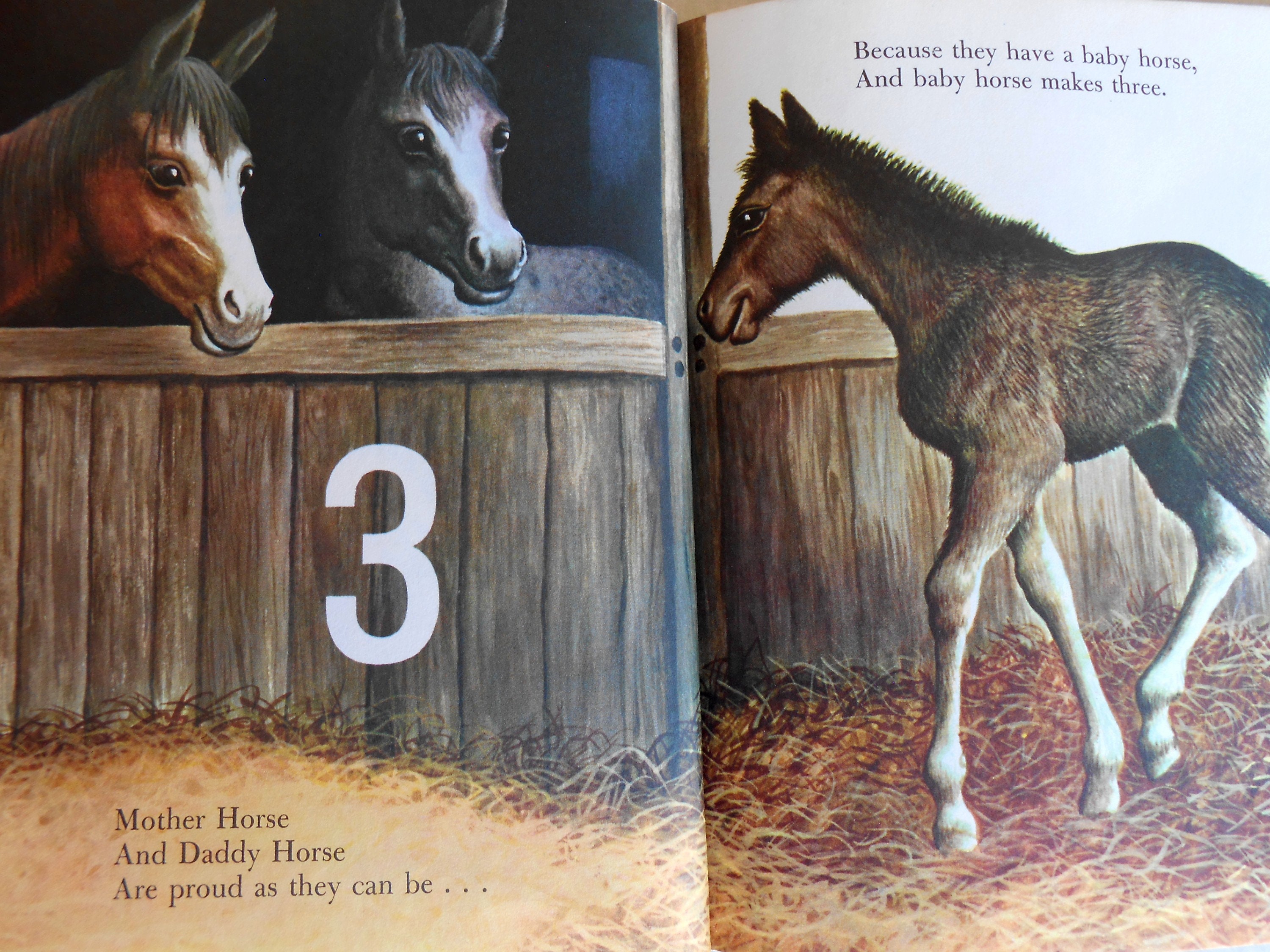 Little Golden Book My First Counting Book Vintage Kids Book - Etsy