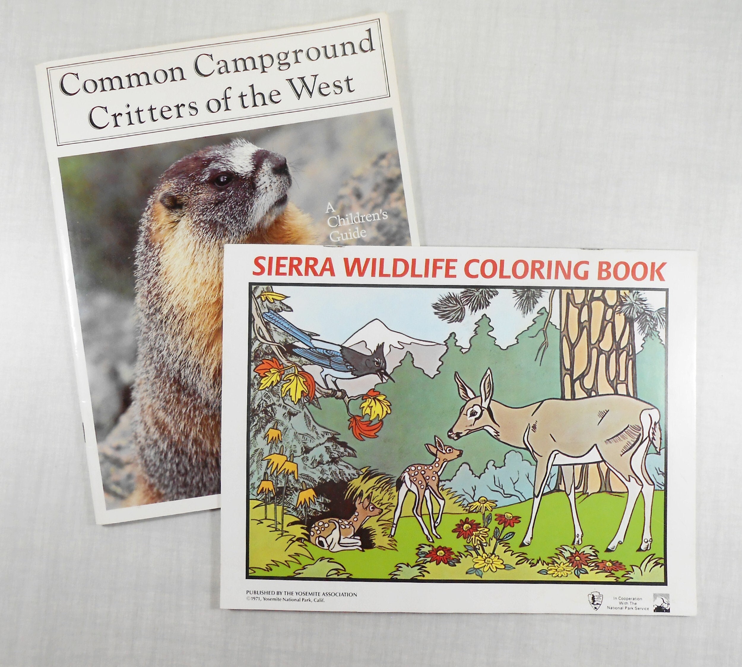 Kids Wildlife Books, 2 Book Set, Coloring Book, Sierra Wildlife, Nature ...