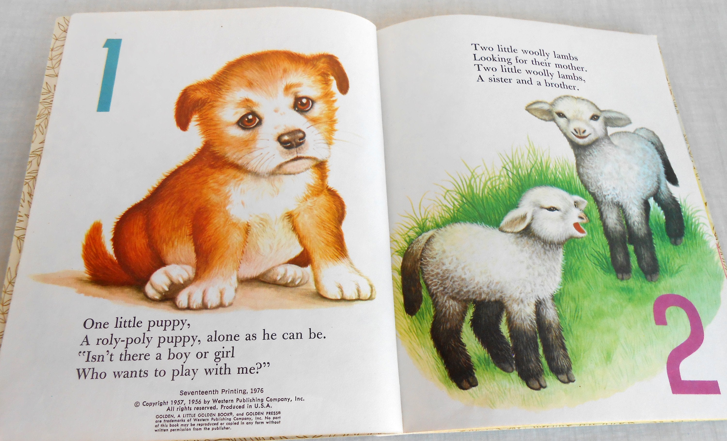 Little Golden Book My First Counting Book Vintage Kids Book - Etsy