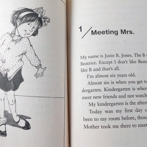 Junie B Jones, 20 Books Set, Kids Book Series, 1 20, Barbara Park ...