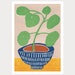 Still Life With a Matisse Melon - Greeting Card - Art Card - Still Life ...