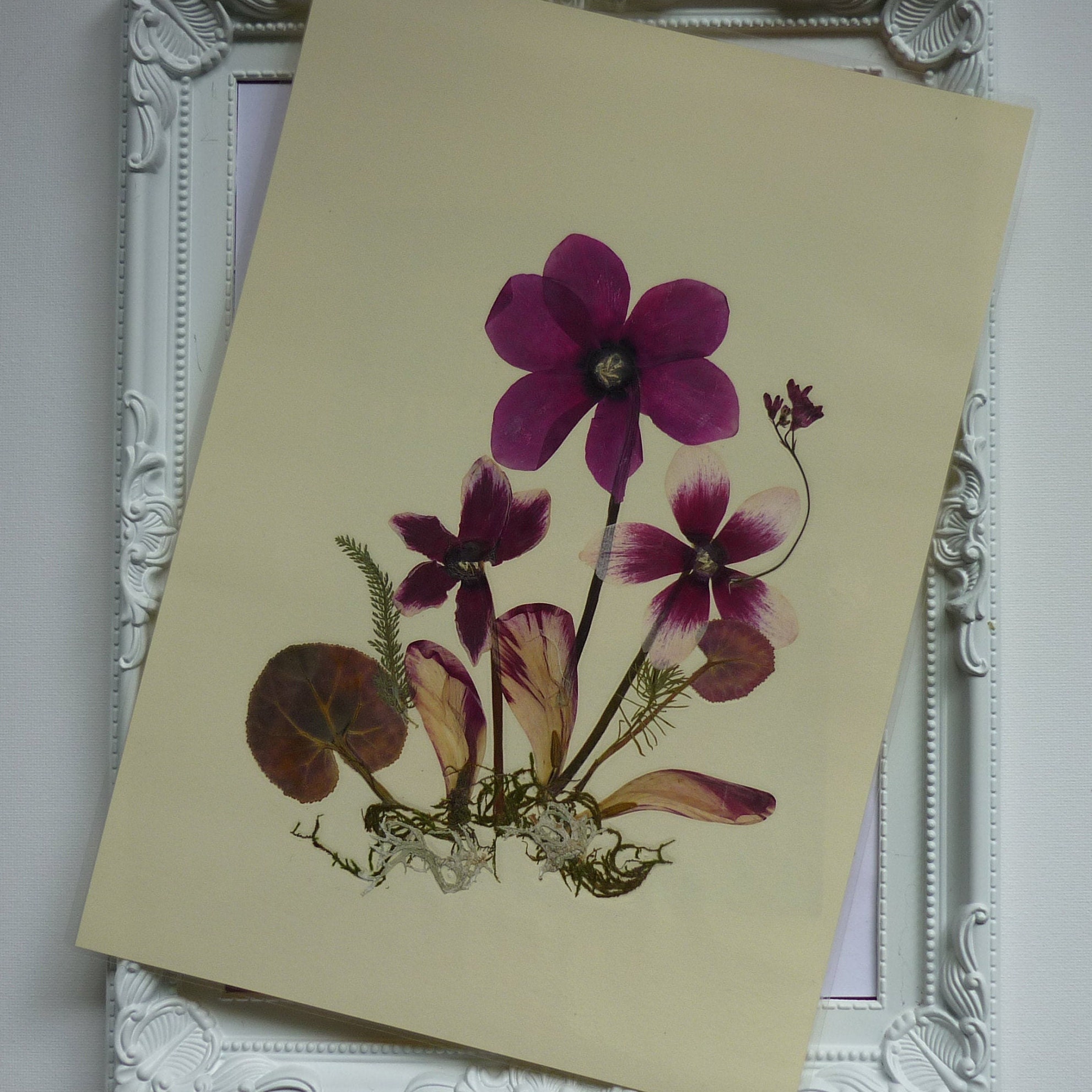 Pressed Flower Art Pressed Flowers Art Collage Dried | Etsy