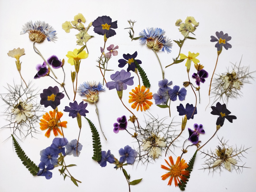 Pressed Flowers for Cakes, Edible Flowers for Cake Decoration, Pressed ...