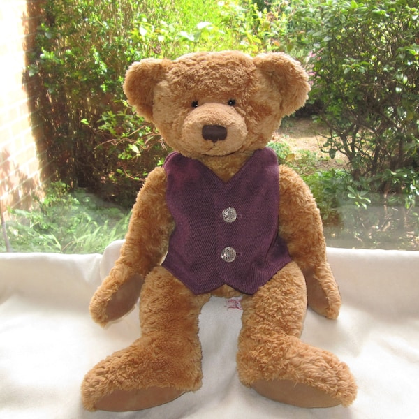 Teddy Bear Vest - Etsy