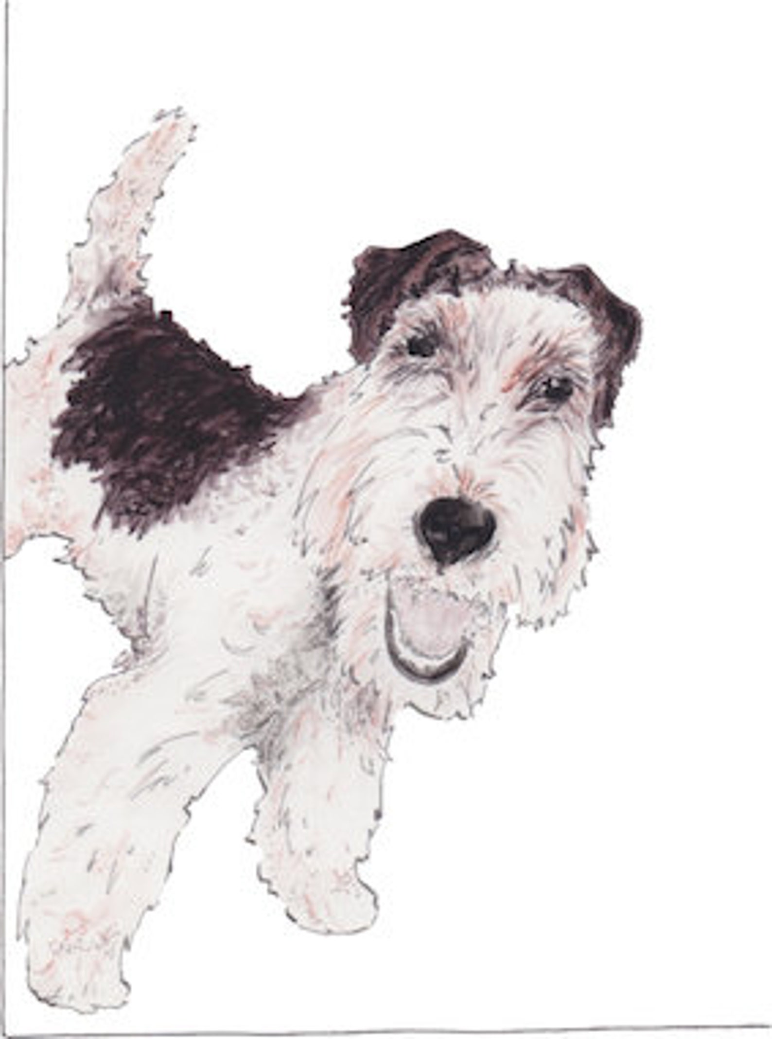 Scamp Greeting Cards - Etsy