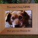 Personalized Pet Rescue Wood Picture Frame Personalize Dog - Etsy