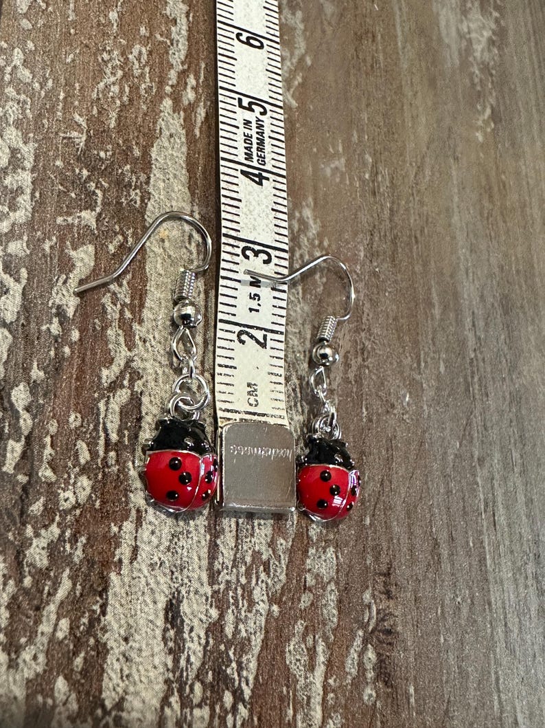 Silver-tone Metal Dangle Earrings Featuring a Small Red and Black ...
