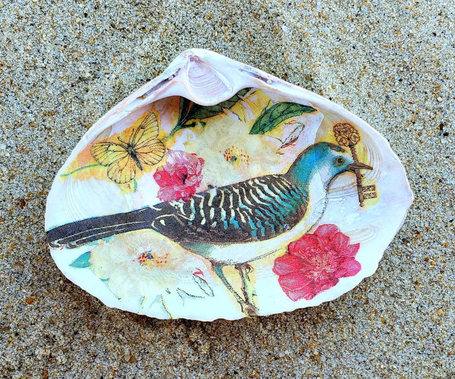 Decoupage Clam Shell Ring Dish: Owl Coastal Decor - Etsy