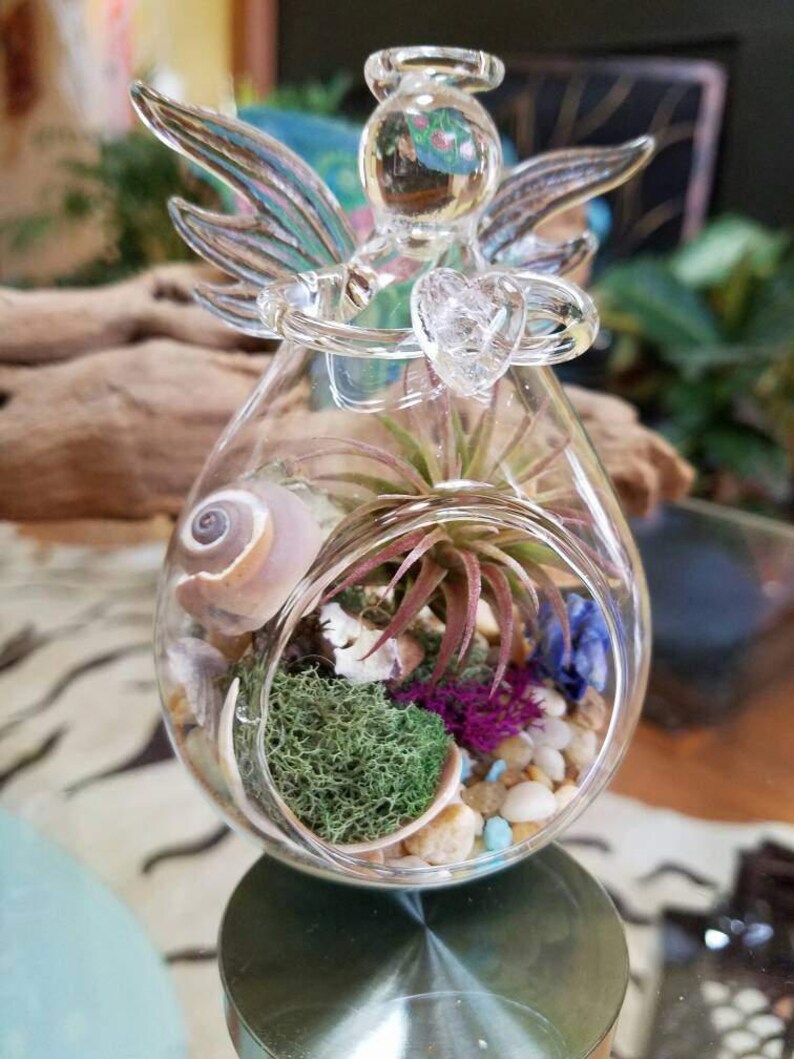 Angel Terrarium Kit,air Plant Terrarium,globe Glass Vase Terrarium ...