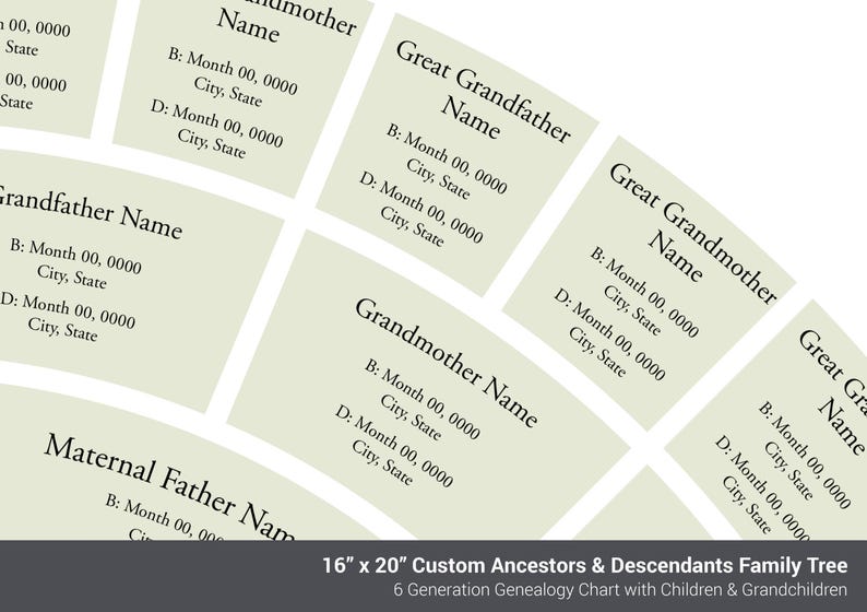 6 Generation Genealogy Fan Chart With Ancestors and Descendants, 16"x20 ...