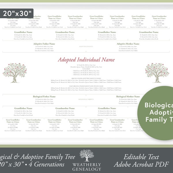 Adoption Family Tree Chart - Etsy