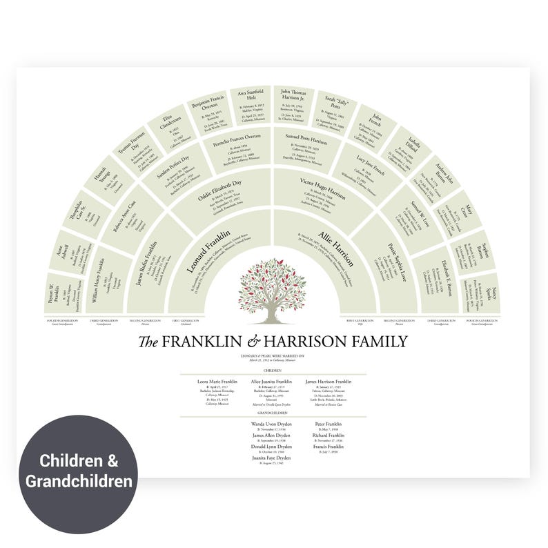 6 Generation Genealogy Fan Chart With Ancestors and Descendants, 16"x20 ...