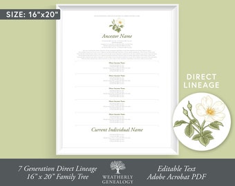 Direct Lineage Chart - Etsy