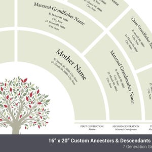 Family Tree Fan Chart With Descendants, 16"x20" Custom 7 Generation ...