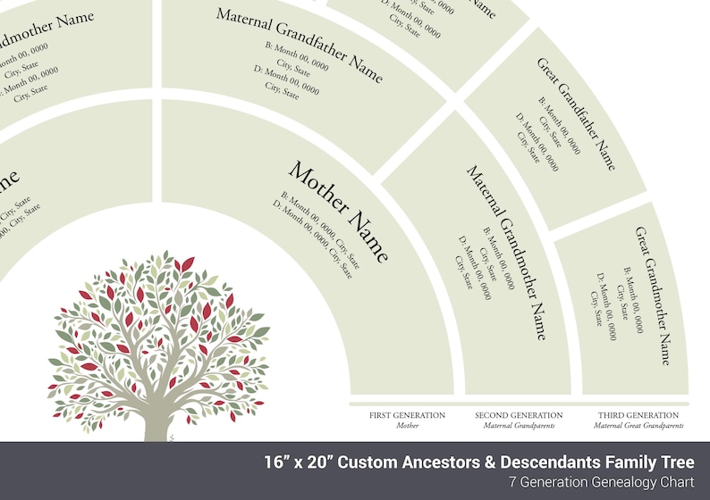 Custom Family Tree Fan Chart: 7 Generation Genealogy Art (printable) - Etsy