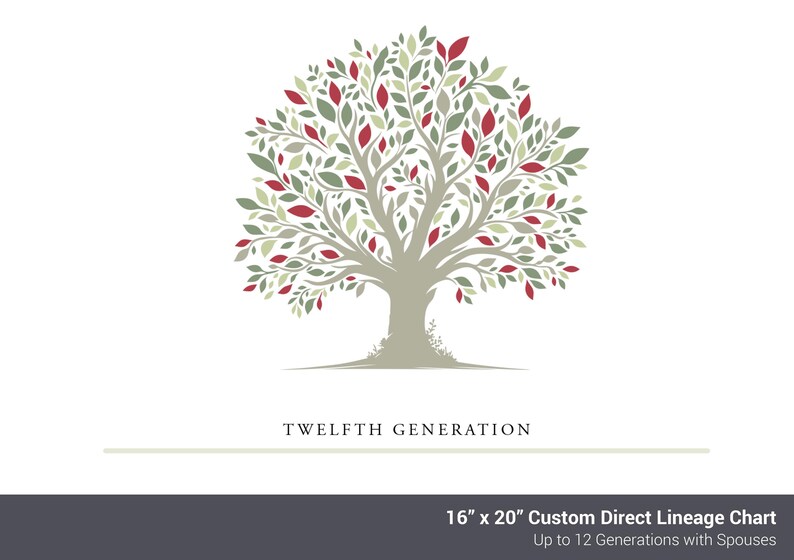 Direct Lineage Pedigree Genealogy Chart, 16"x20" up to 12 Generations ...