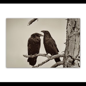 Two Ravens - Etsy