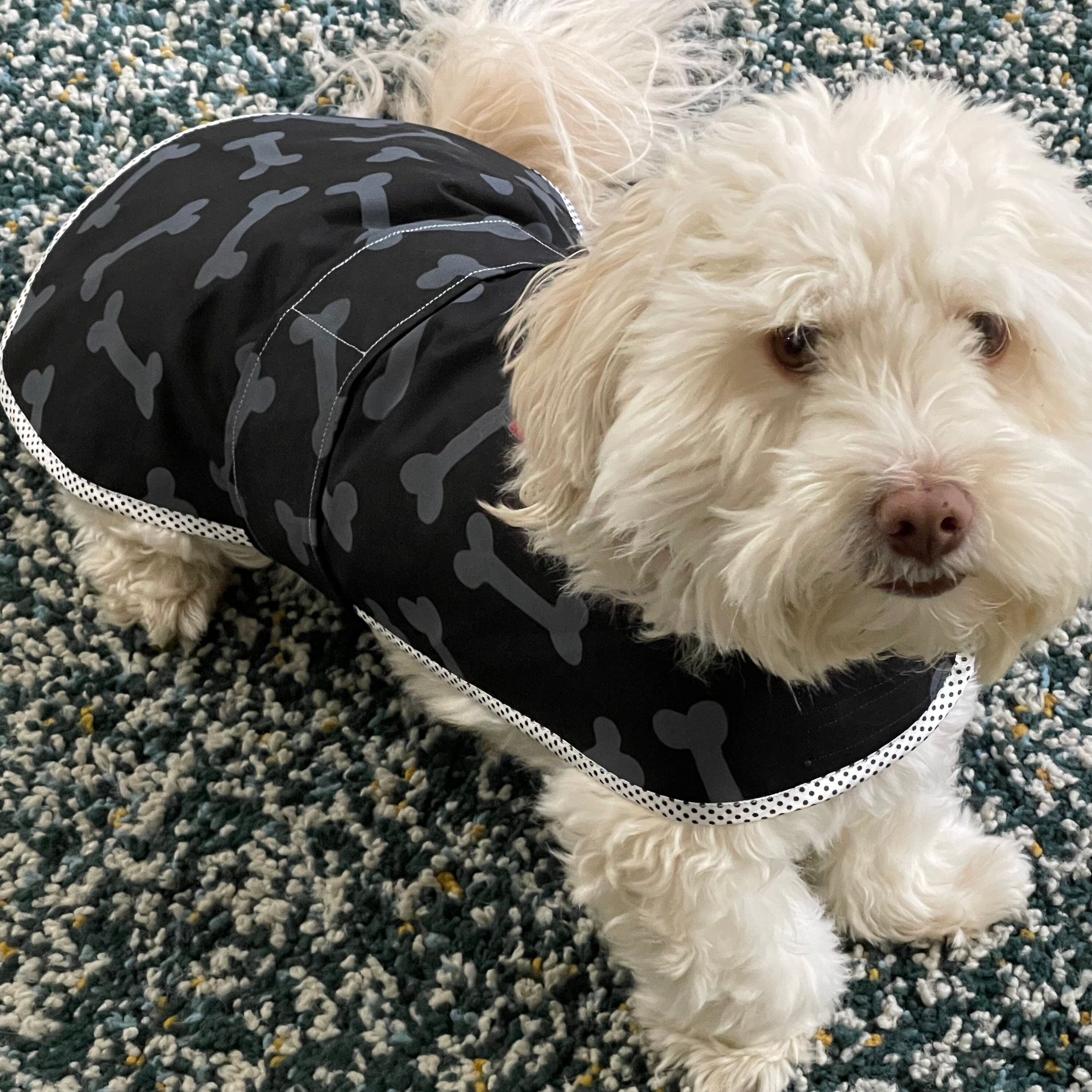 Pendi's Quilted Dog Coat Paper Multi Size Pattern - Etsy UK