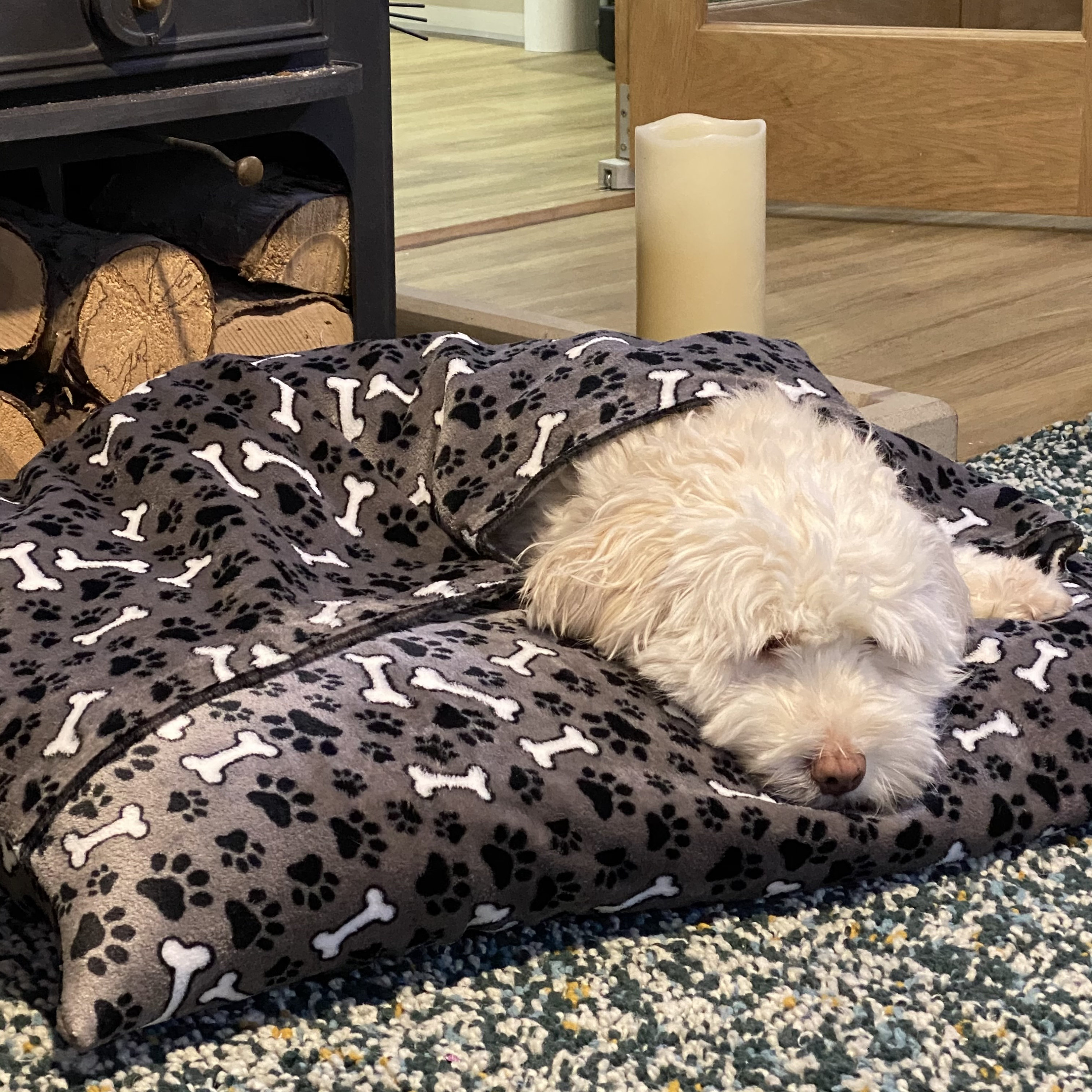 Snuggle Pet Bed Sewing Pattern - Etsy UK