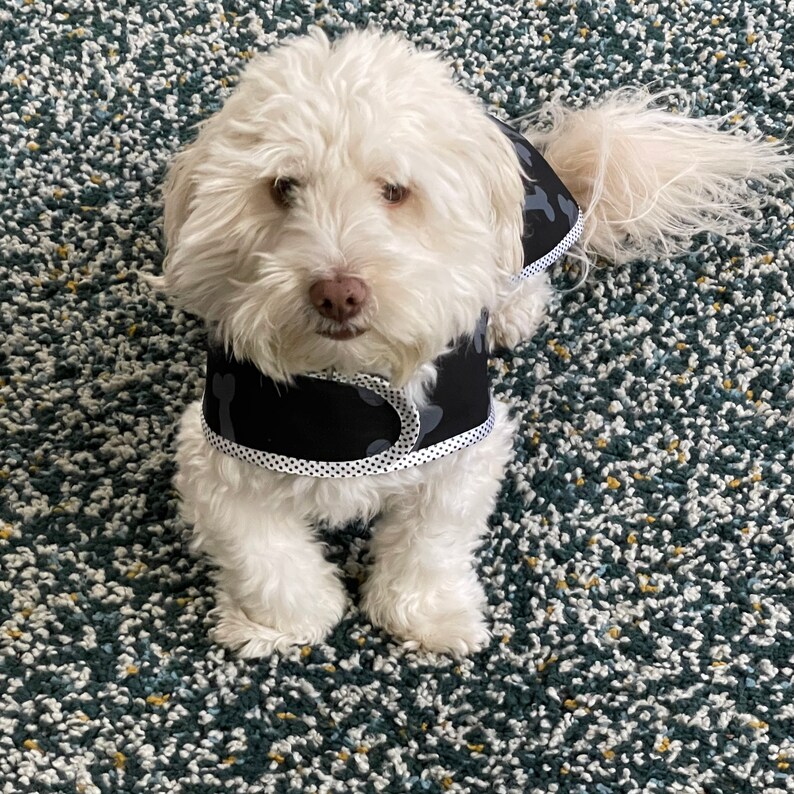 Pendi's Quilted Dog Coat PDF Adjustable Pattern - Etsy