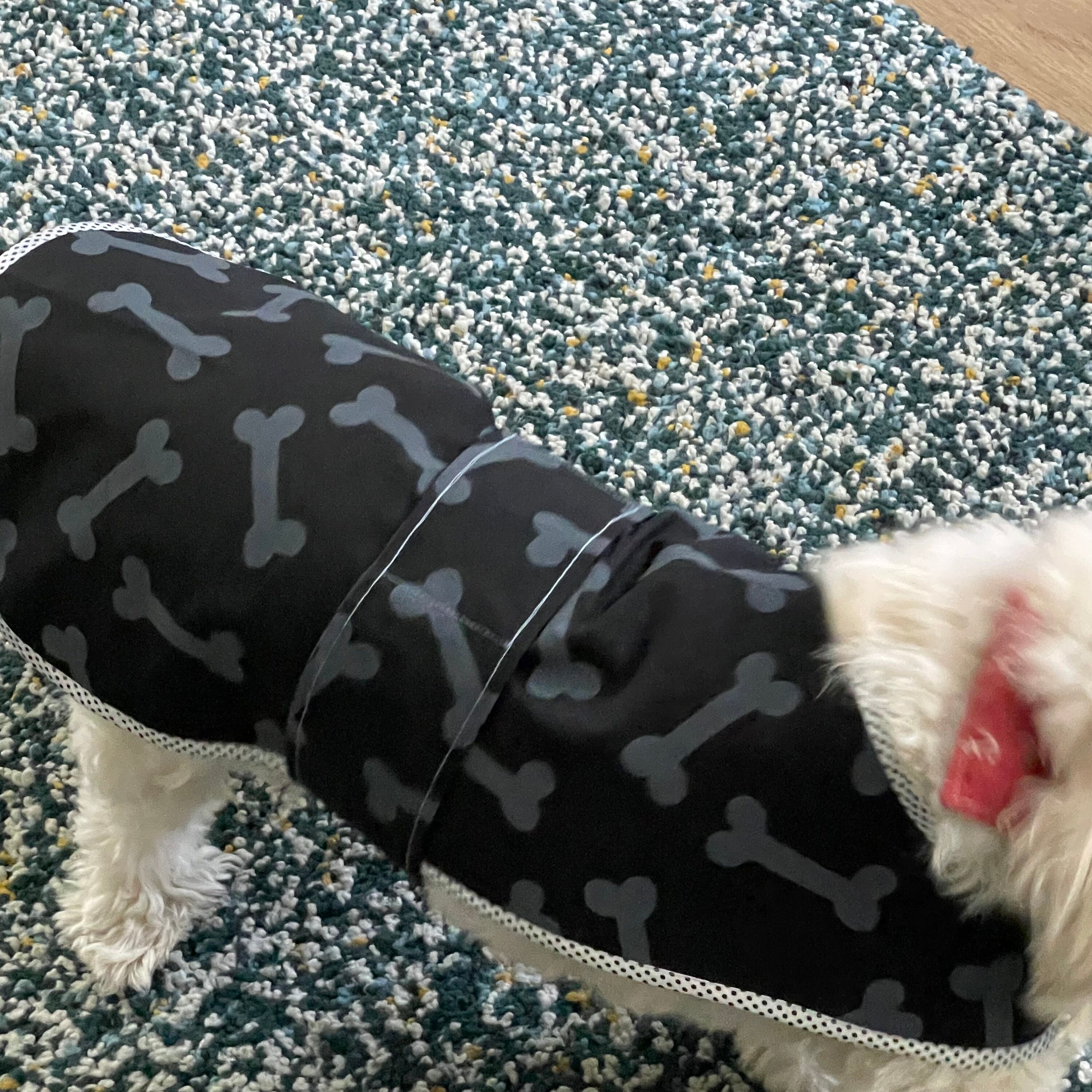 Pendi's Quilted Dog Coat PDF Adjustable Pattern - Etsy