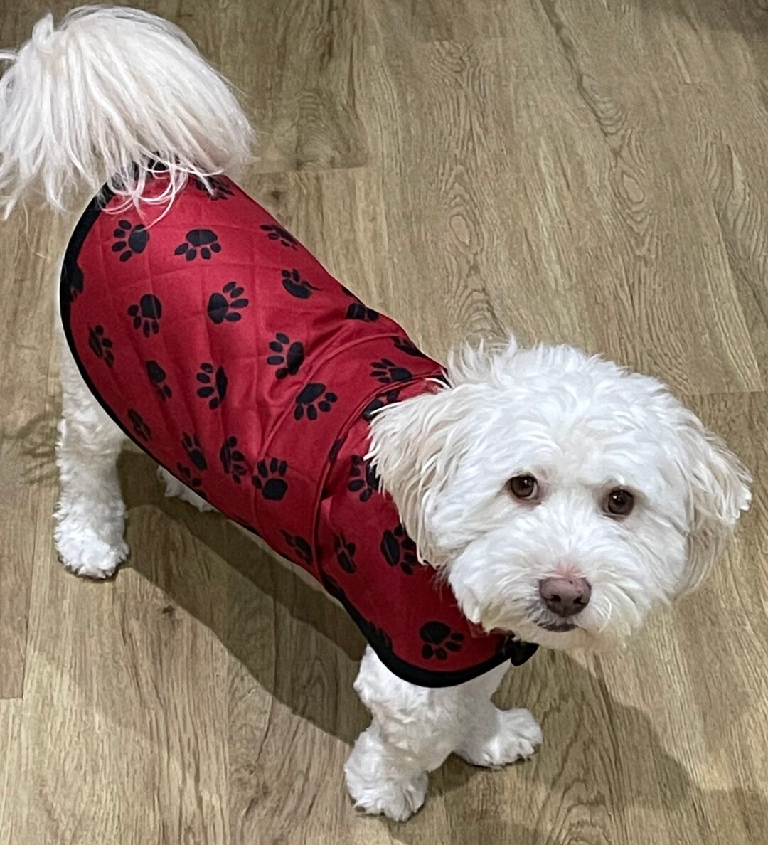 Pendi's Quilted Dog Coat Paper Multi Size Pattern - Etsy UK