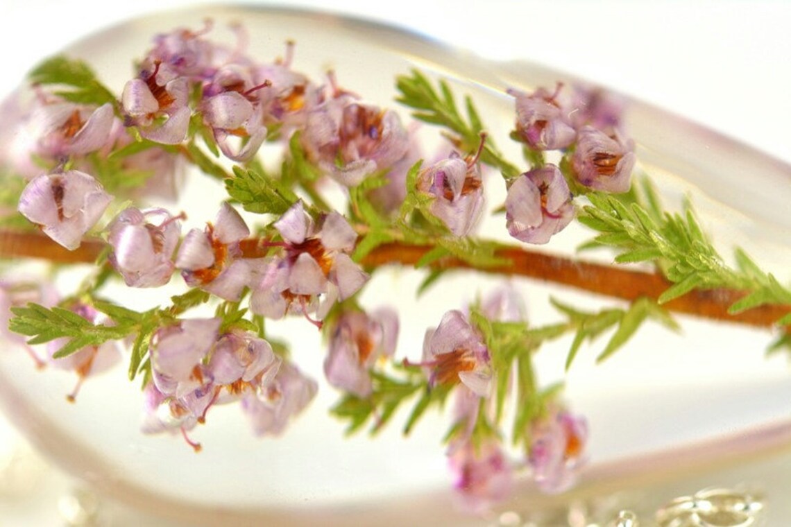 Real Heather Pendant, Natural Heather Necklace, Heather Jewelry, Resin ...