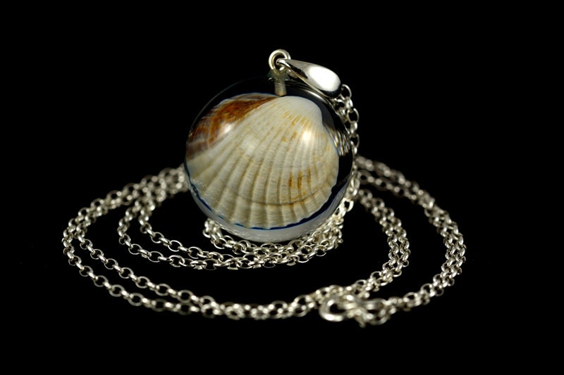 Pendant With Natural Shell in Resin Sphere on a Silver Chain. Resin ...