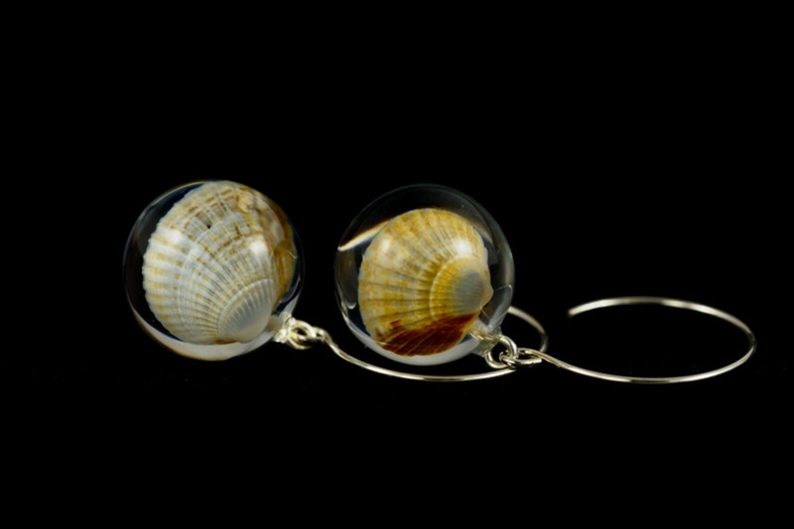 Earrings With Natural Shells in Resin Spheres on a Silver Hooks. Resin ...