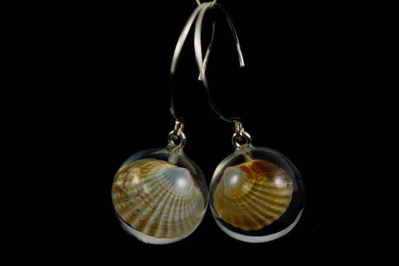 Earrings With Natural Shells in Resin Spheres on a Silver Hooks. Resin ...