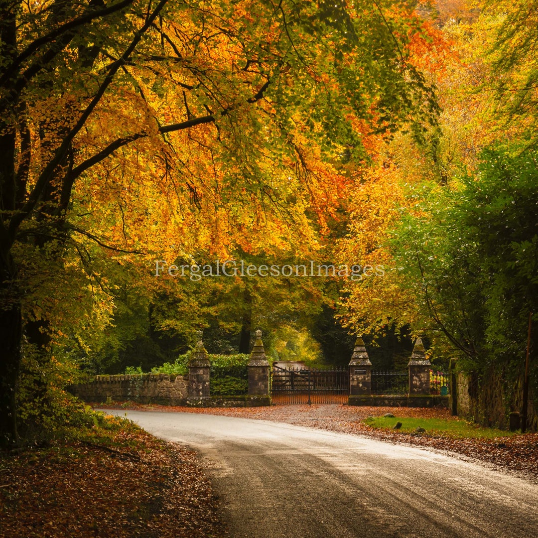 Autumn in Ireland Printable Photograph, Irish Landscape Photography ...
