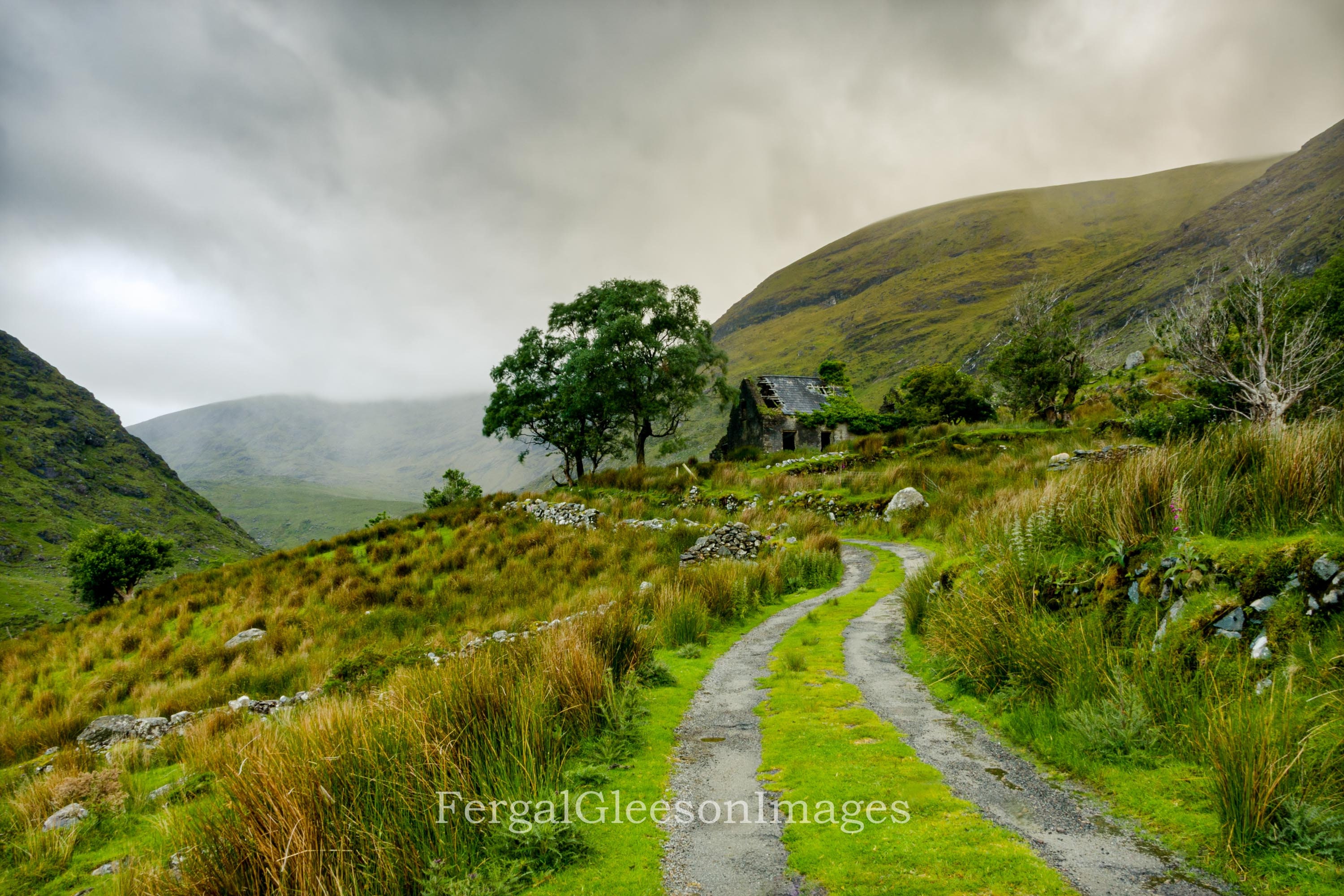 Typical Irish Home Landscapes