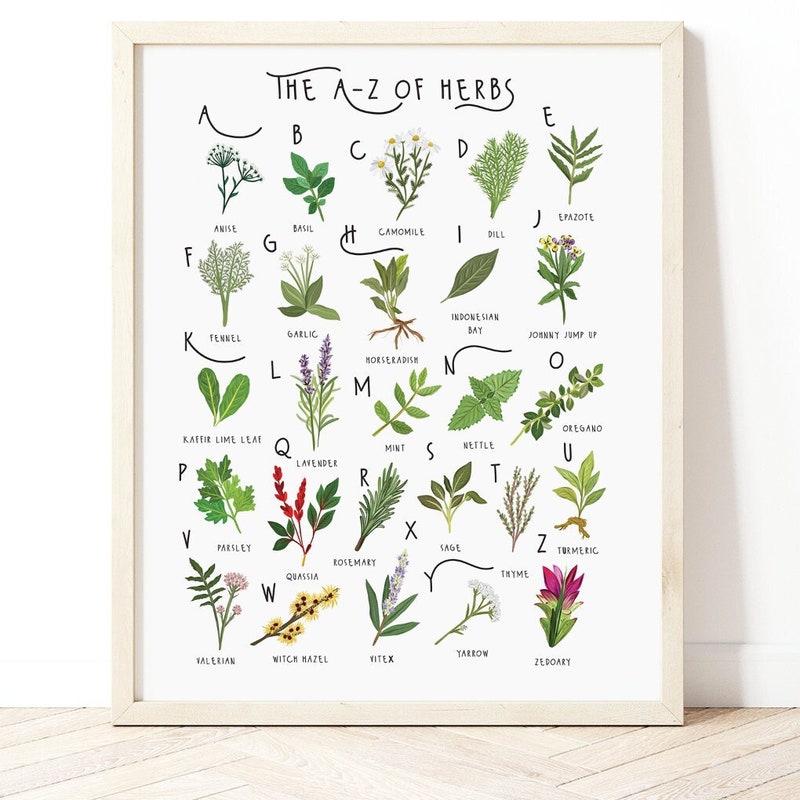 Herb Poster - Etsy