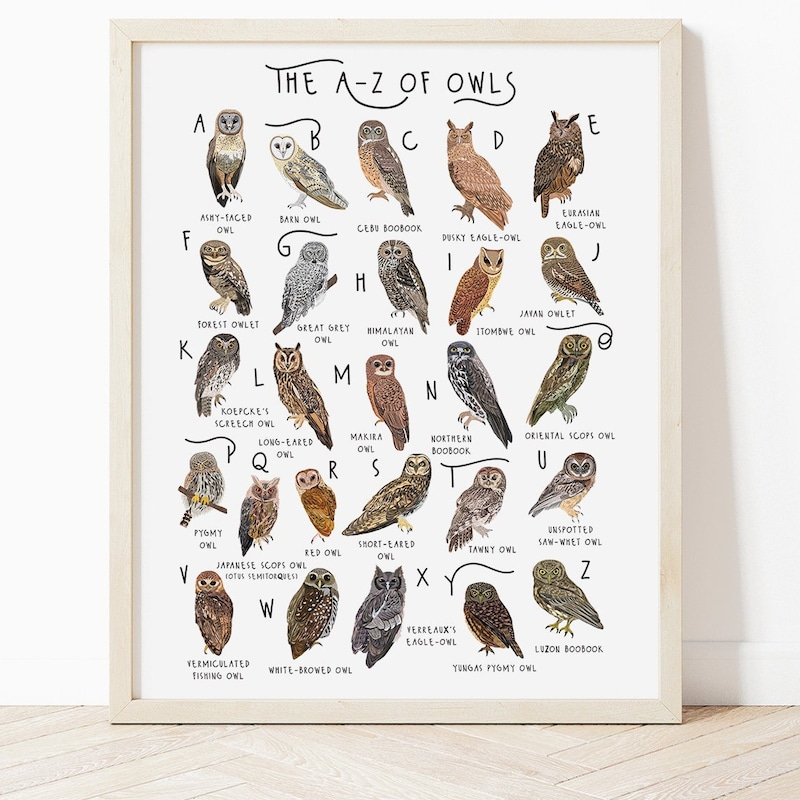 Owl Poster - Etsy UK