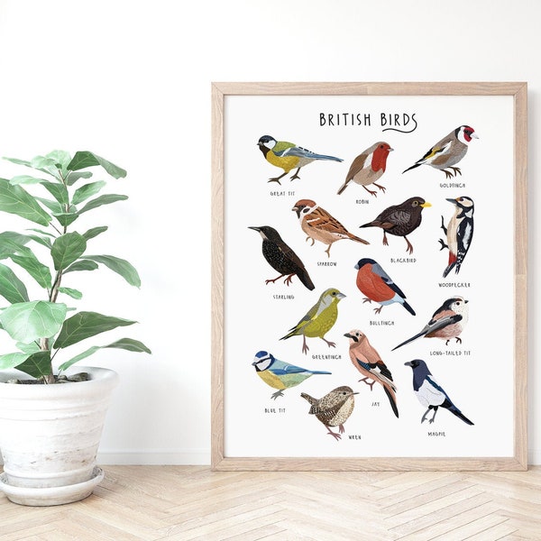 British Birds Identification Poster - Etsy