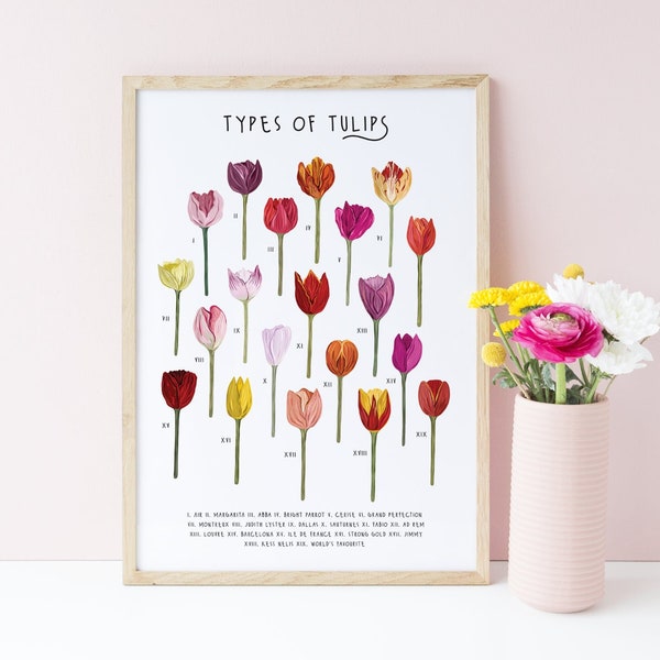 Tulip Wall Art - Etsy