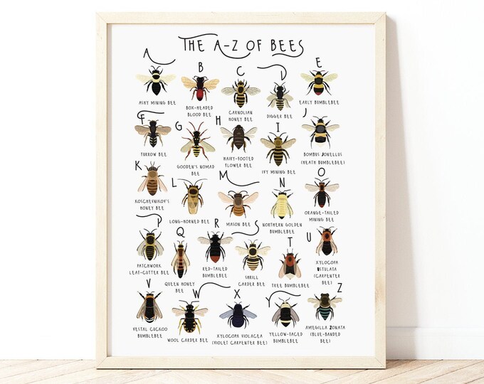 A-Z of Bees Bee Print Types of Bees Art Alphabet Poster - Etsy
