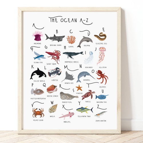 Ocean A-Z Print Ocean Animals Poster Nursery Ocean Decor - Etsy